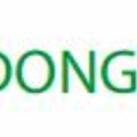 Dongrun | Project Suppliers