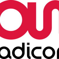 Assystem and Ali Al-Harbi Engineering Consultancy Company