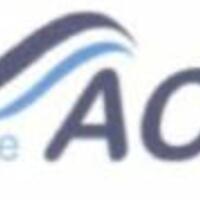 ACE Future
