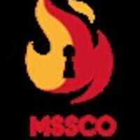 Modern System Security & Safety Co ( MSSCO)